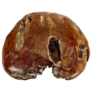 Vintage Giant Centerpiece Bowl, Teak Root Bowl, Light Brown Bowl ...