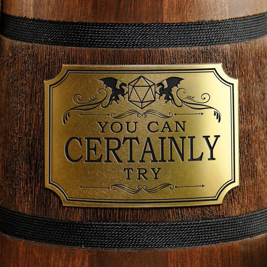 You Can Certainly Try Dnd Mug, D&D Beer Stein, Dungeon Master Gifts ...