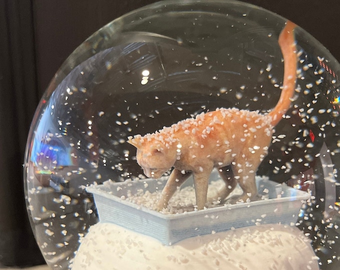 Kitty Litter Snow Globe - Etsy
