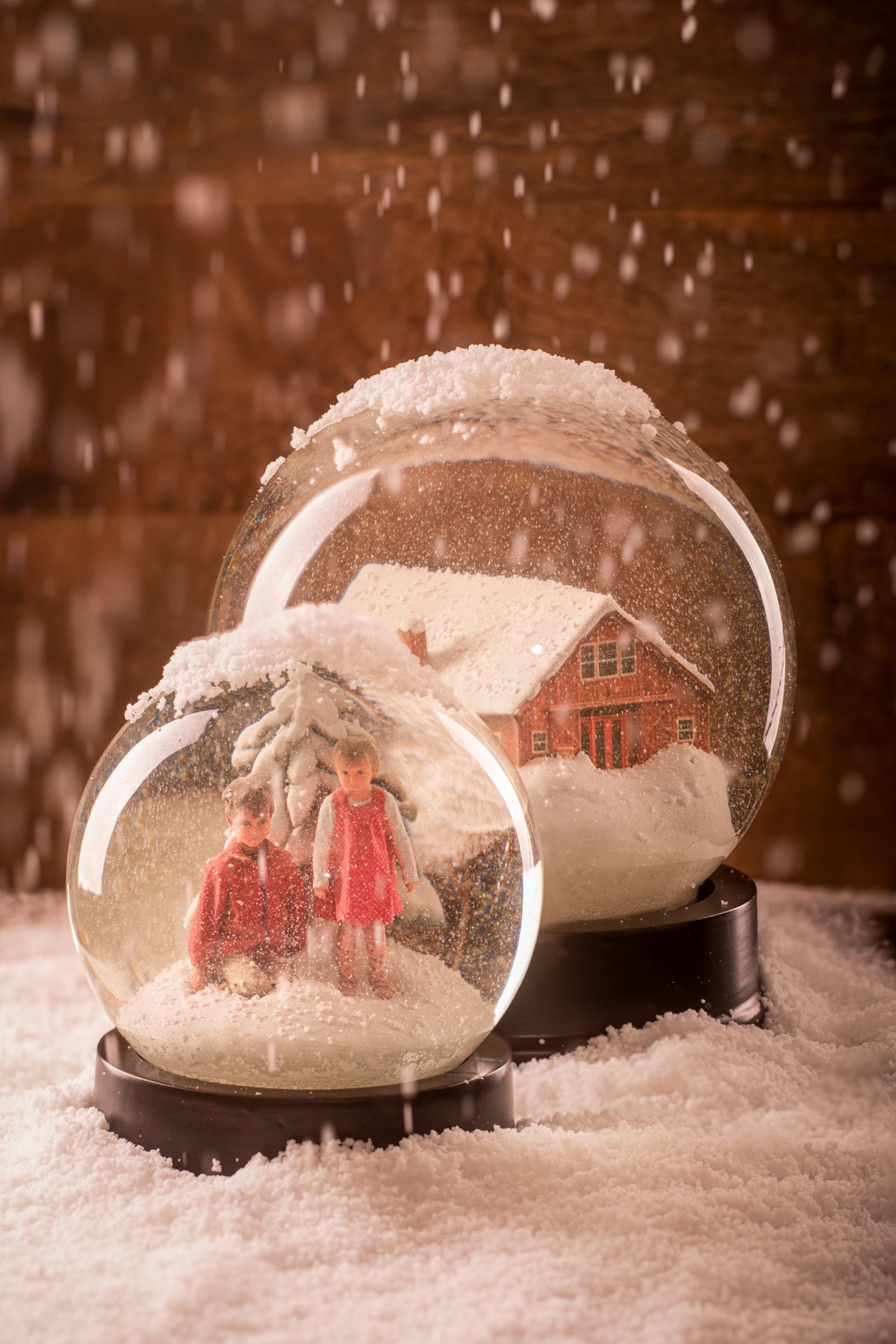 Your Family and Friends in a Snow Globe - Etsy