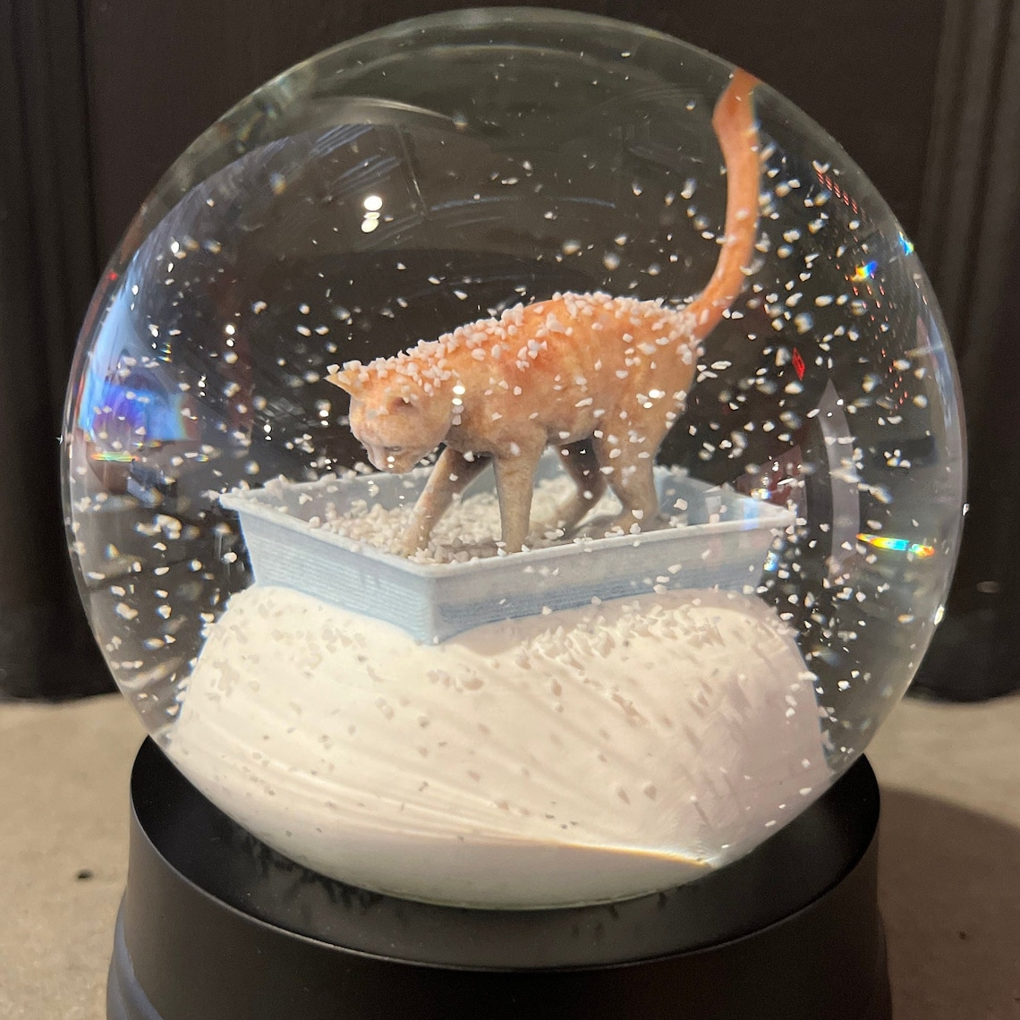 Kitty Litter Snow Globe - Etsy