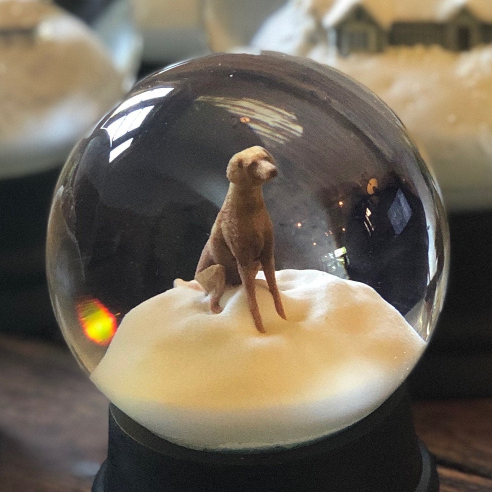 Your Family and Friends in a Snow Globe - Etsy