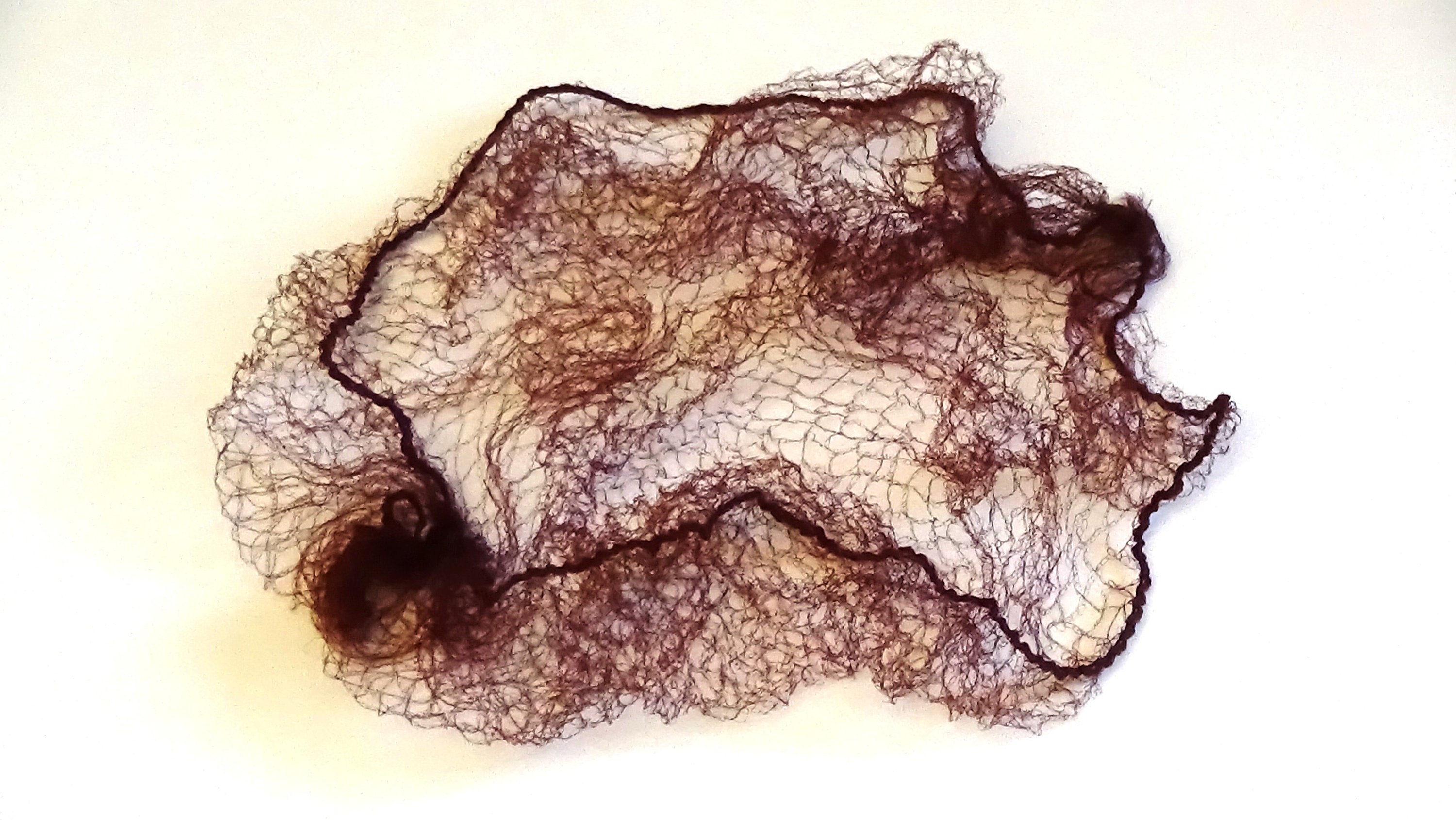 Hairnet Fine Soft Elastic Hair Net Mesh Beard Fishnet Bun - Etsy