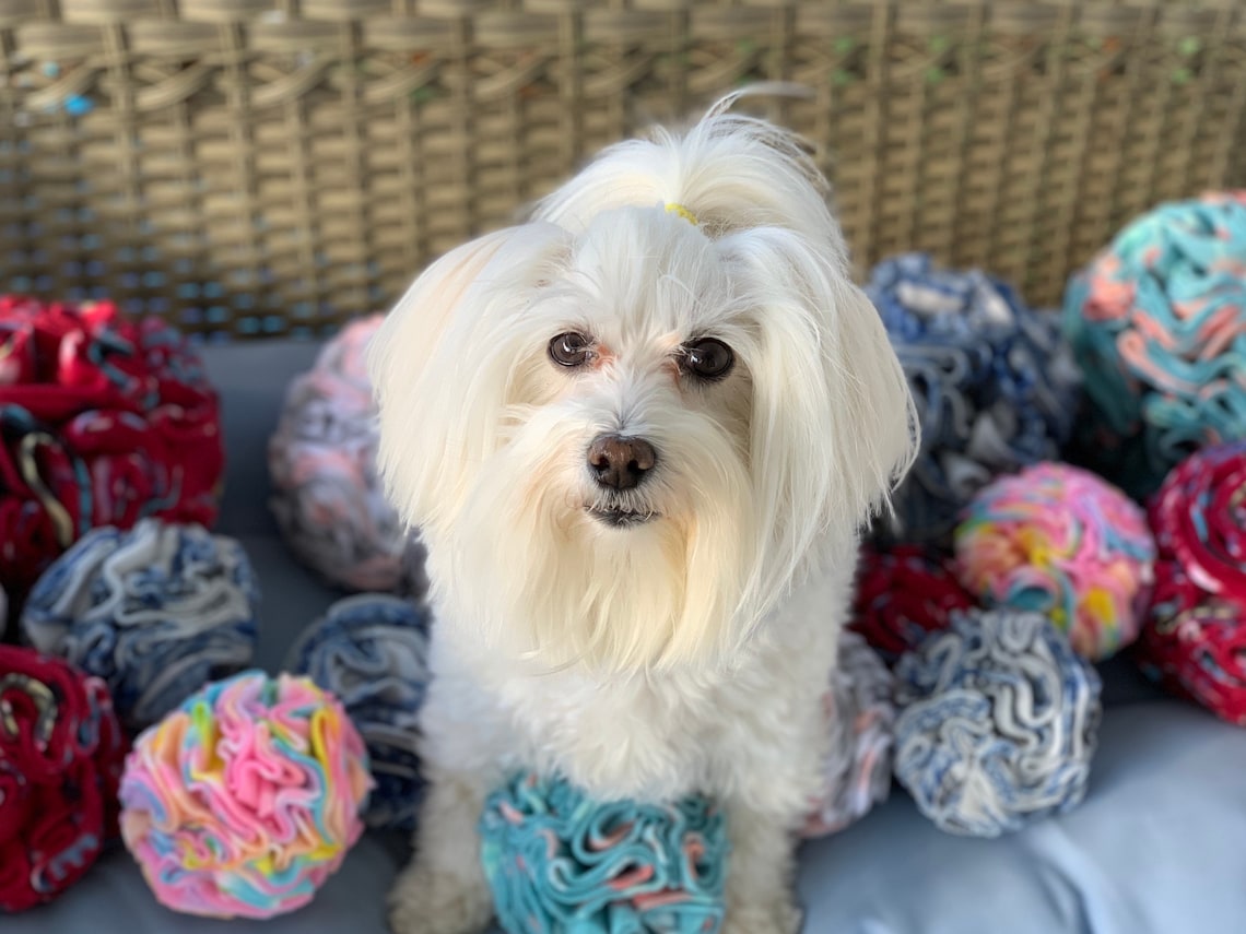 Snuffle Ball Treat Dispenser Treat Ball Canine Enrichment - Etsy