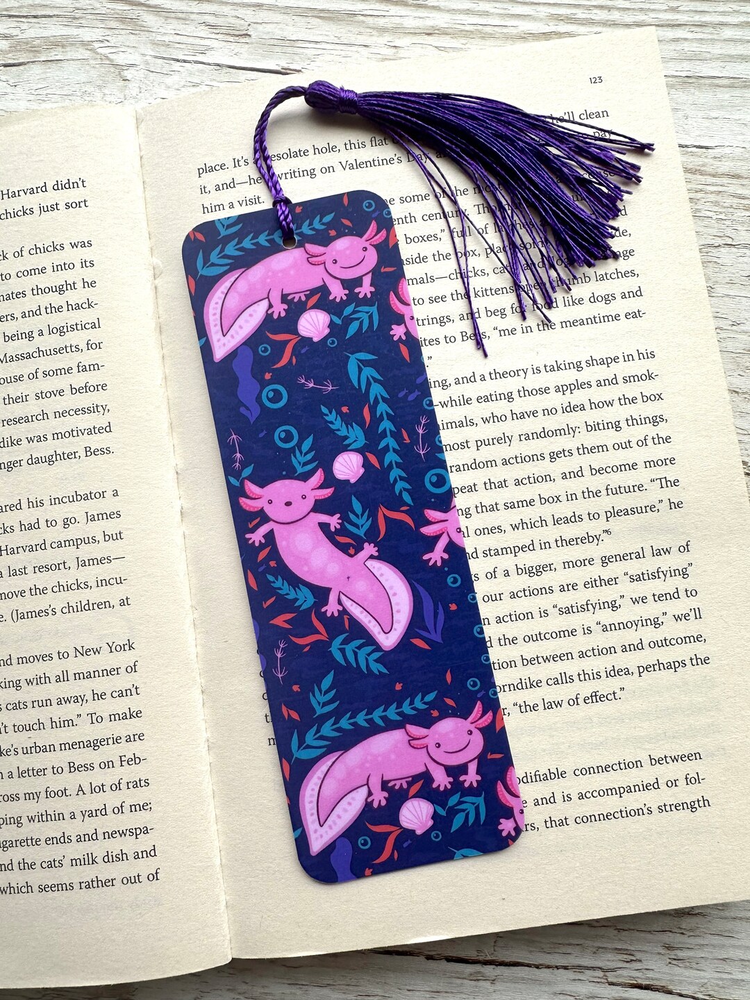 Pink Axolotl Double-sided Laminated Bookmark, Unique Bookmarks, Book ...