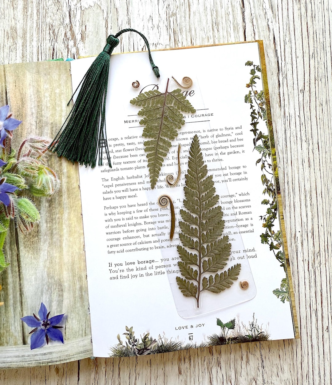 Fern Bookmark With Real Dried Leaves. Laminated, With or Without Tassel ...