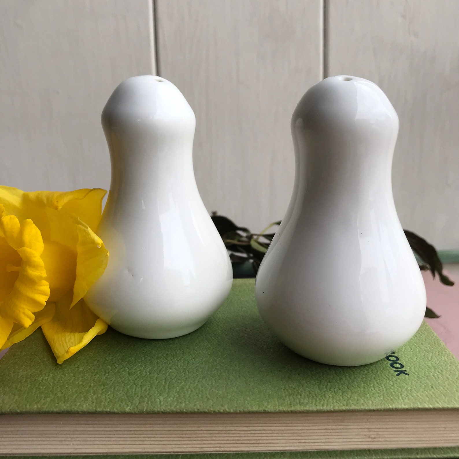 Bone China Pot Bellied Cruet Set Salt and Pepper Shakers | Etsy