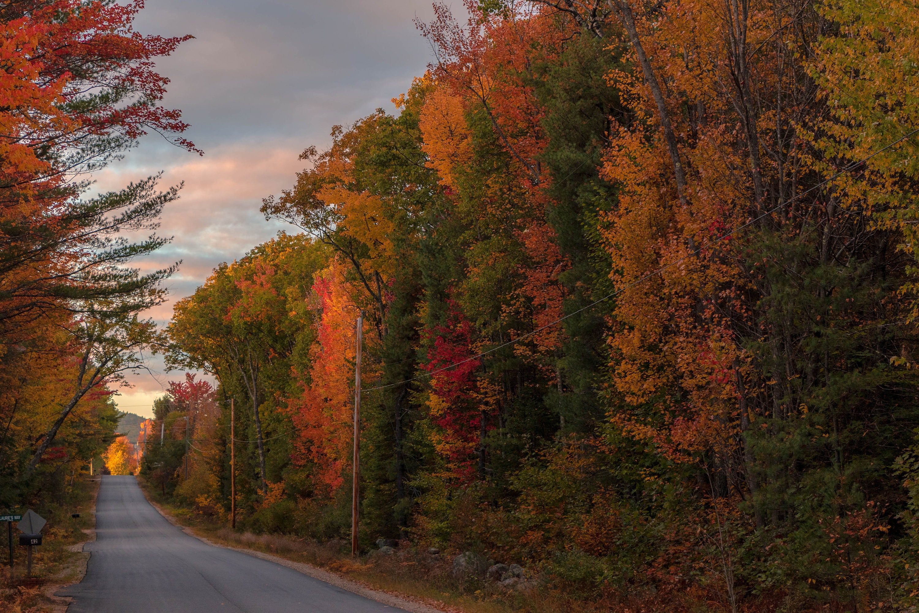 Maine Rural Roads Fall Foliage Photography - Etsy