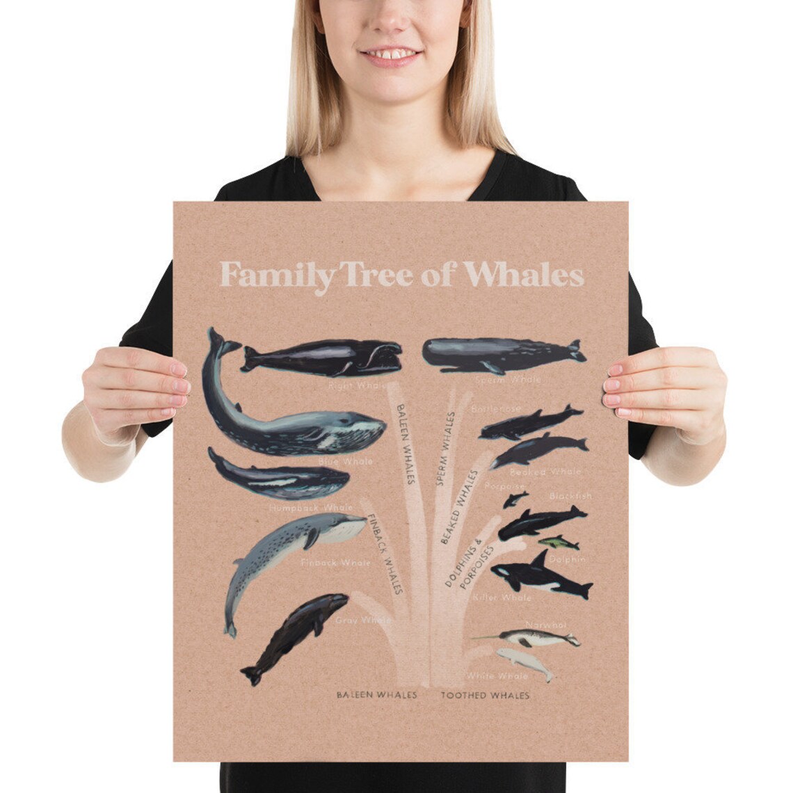 Family Tree of Whales Art Print Cetacea and Cetartiodactyla Art Poster ...