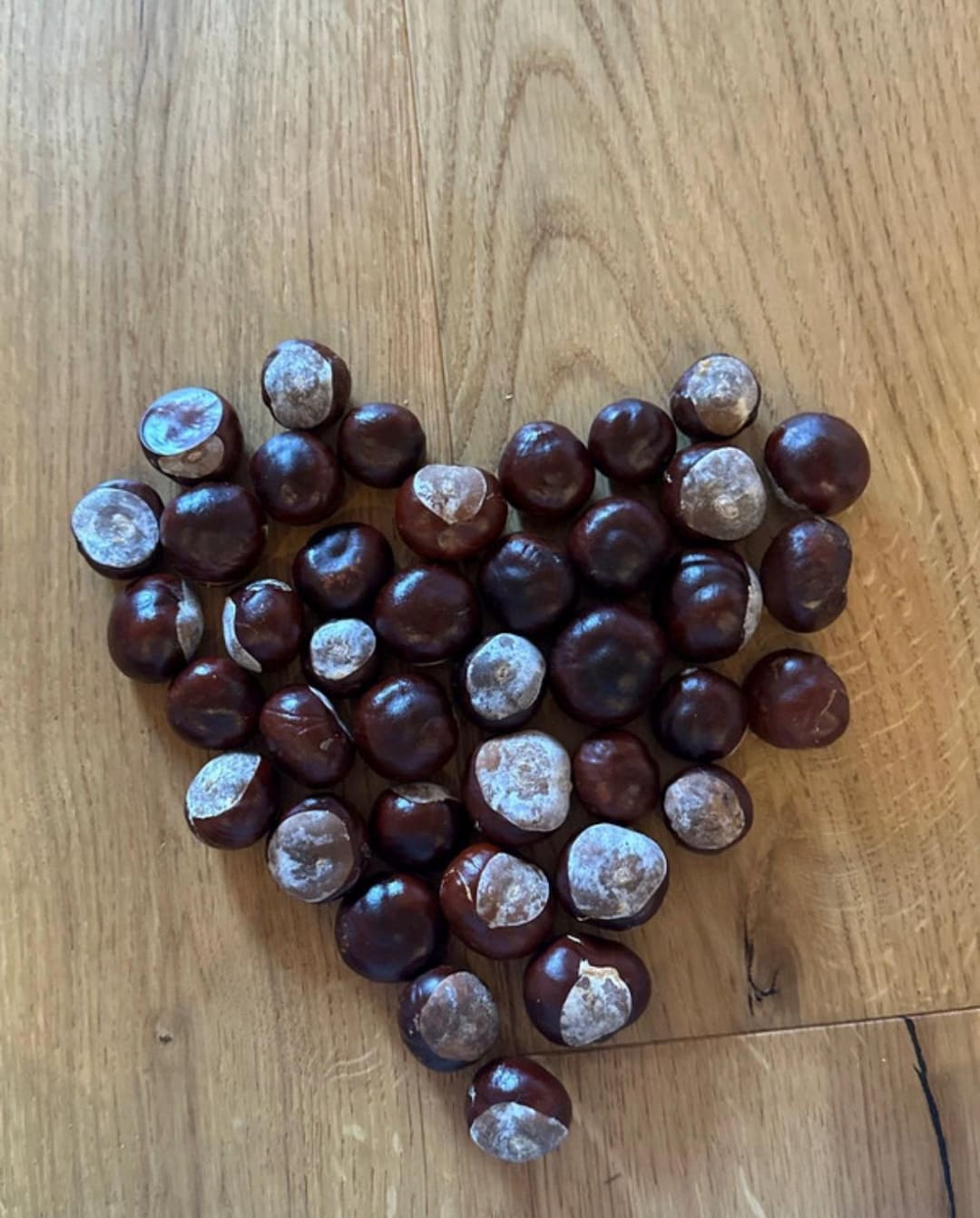 Natural Chestnuts 40 Pieces | Autumn Decoration Crafts | Collected ...