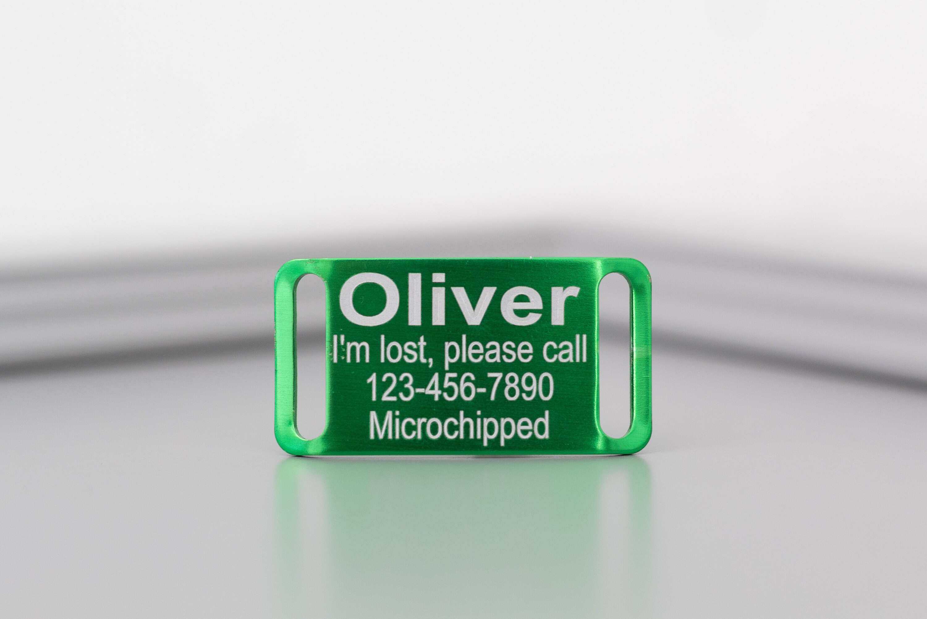 Personalized Slide on Aluminum Paw Prints Pet ID Tag for Dog - Etsy