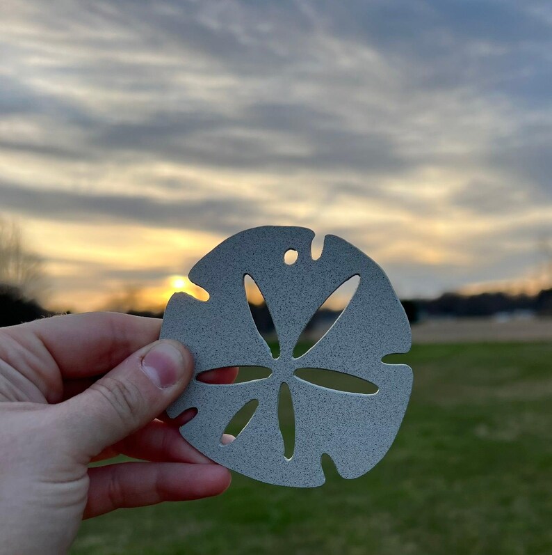Sand Dollar - Etsy