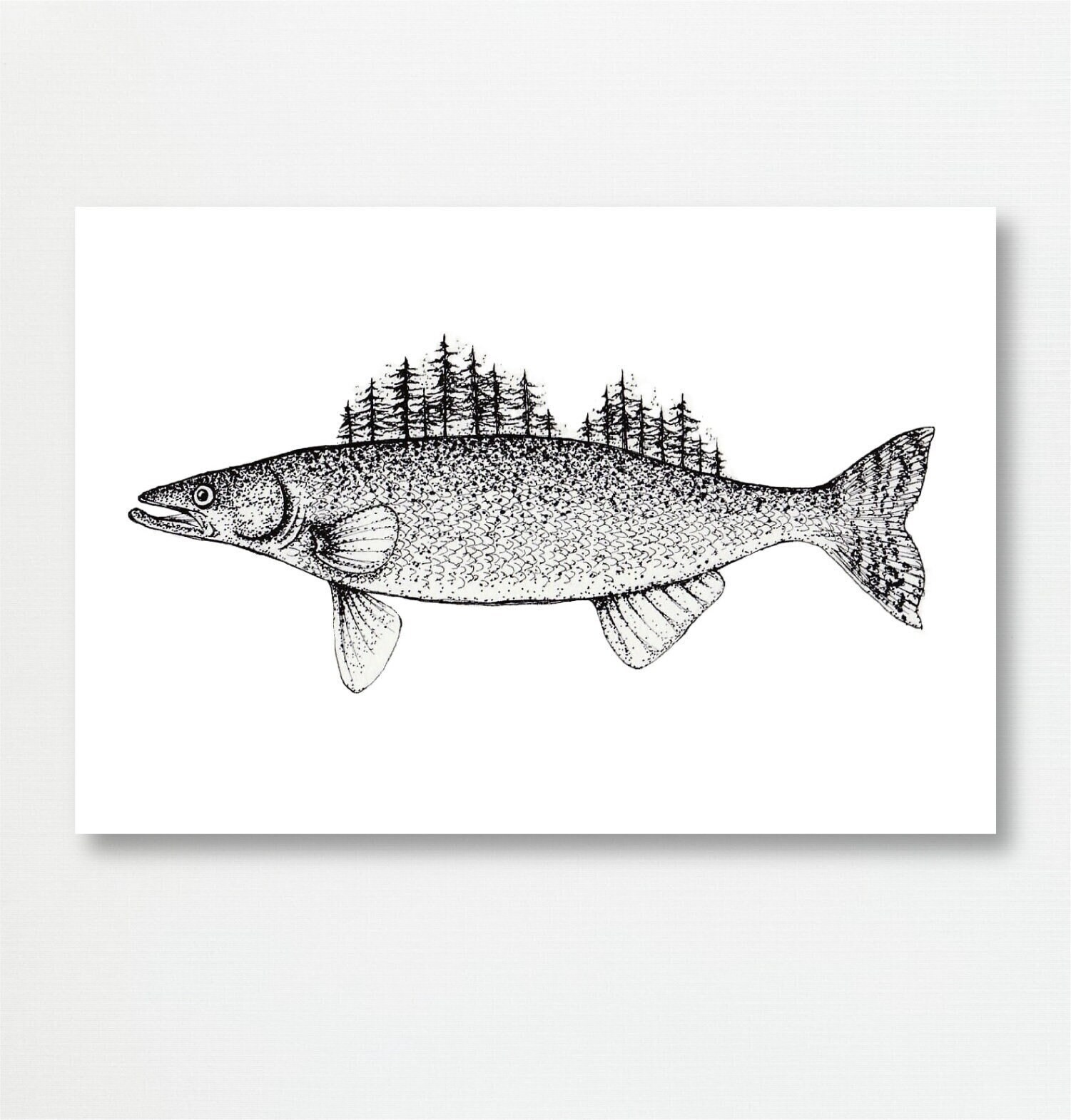 Walleye Fish Drawing Artist Al Agnew Unframed Trout Fishing Print