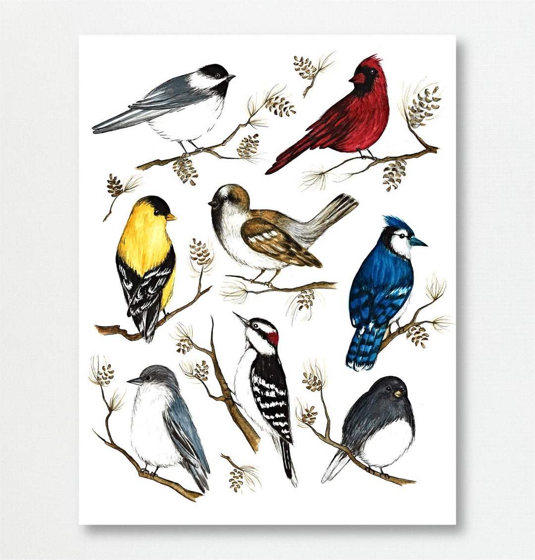 Minnesota Backyard Birds Illustration Print Winter Bird Animals ...