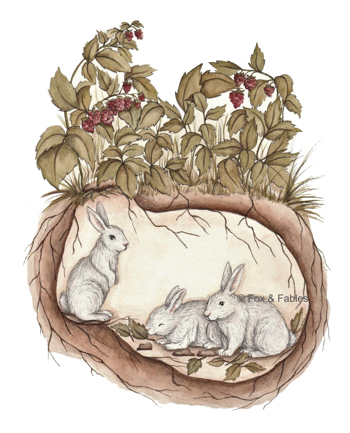 Rabbit Burrow Illustration Print Woodland Floral - Etsy