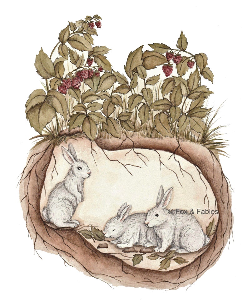 Rabbit Burrow Illustration Print Woodland Floral - Etsy