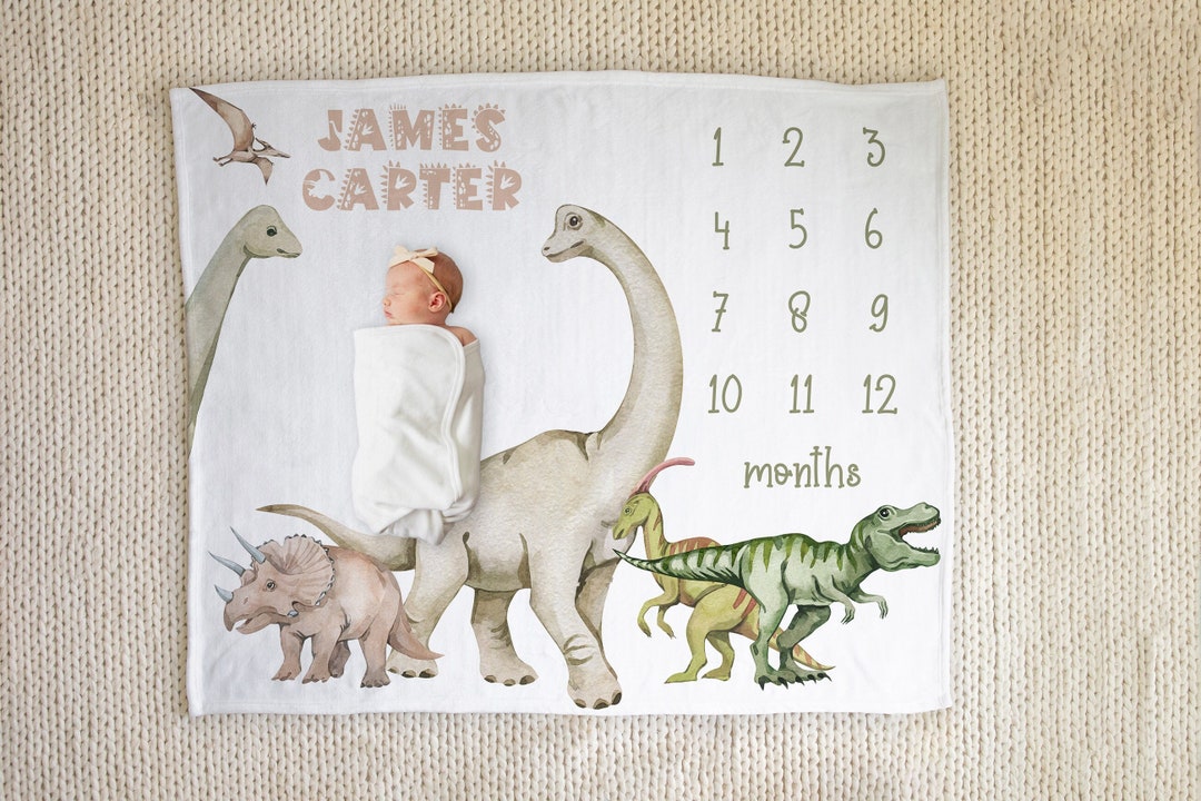 Personalized Dinosaur Milestone Blanket, Baby Boy Month Blanket, Baby ...