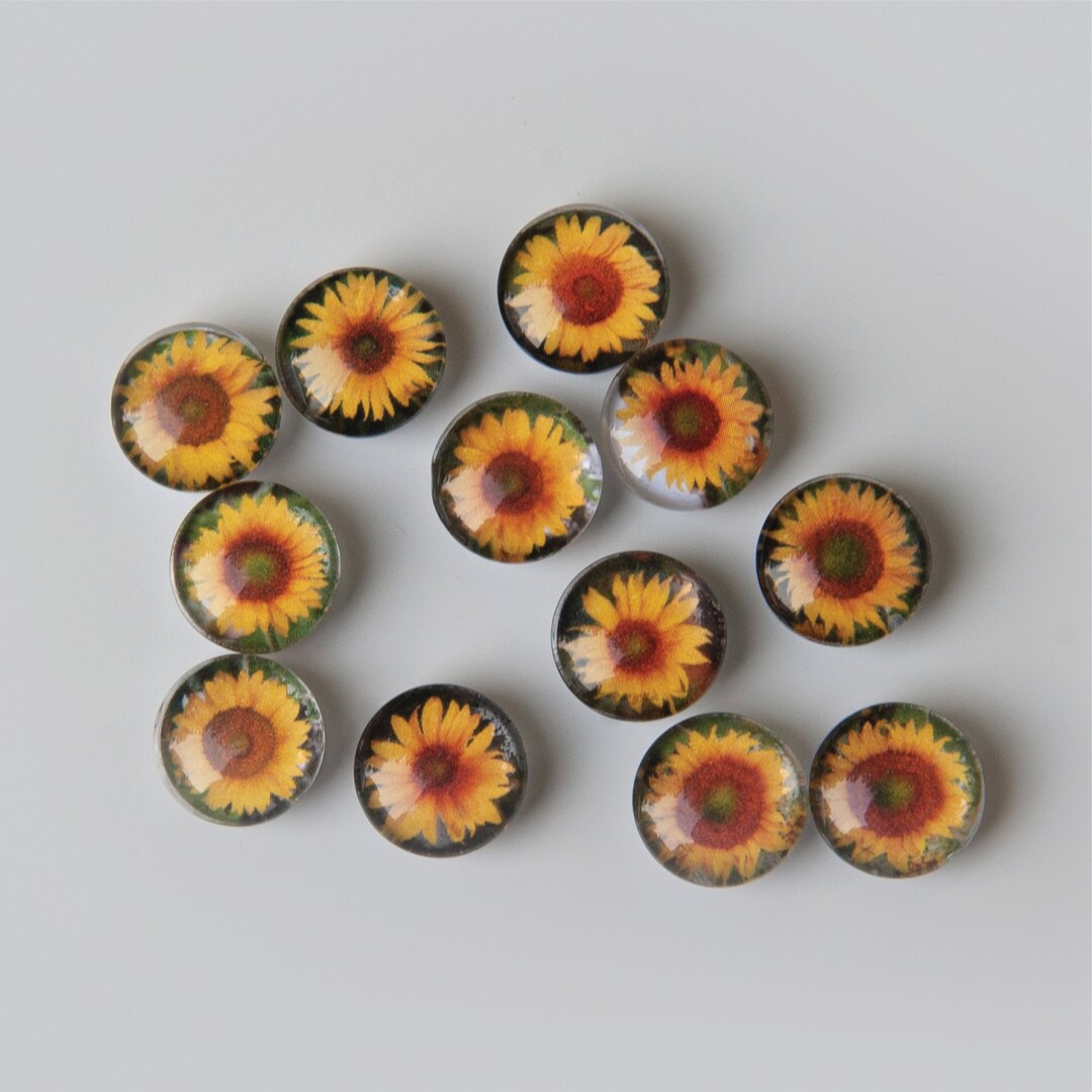 Sunflower Magnets, Fridge Magnets, Magnet Set of 12, for Board, 14mm ...