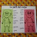 Parts of the Body Chart Italian Children's Resource - Etsy Canada