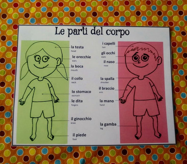 Parts of the Body Chart Italian Children's Resource - Etsy Canada