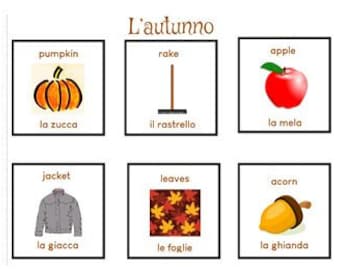 Parts of the Body Chart Italian Children's Resource - Etsy Canada