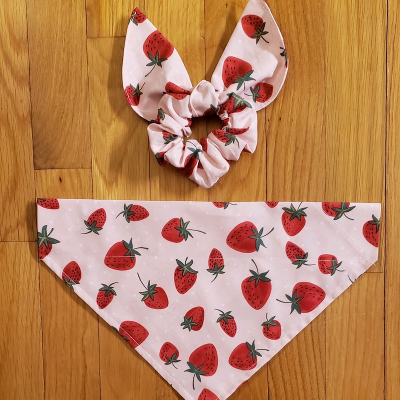 Cat Bandana Strawberries - Etsy
