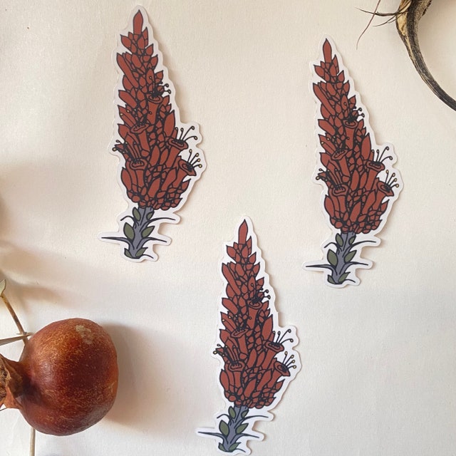 SonoranWitchBoy - Etsy