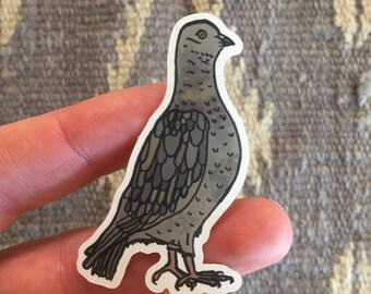 Pudgy Pigeon Sticker Matte Vinyl - Etsy