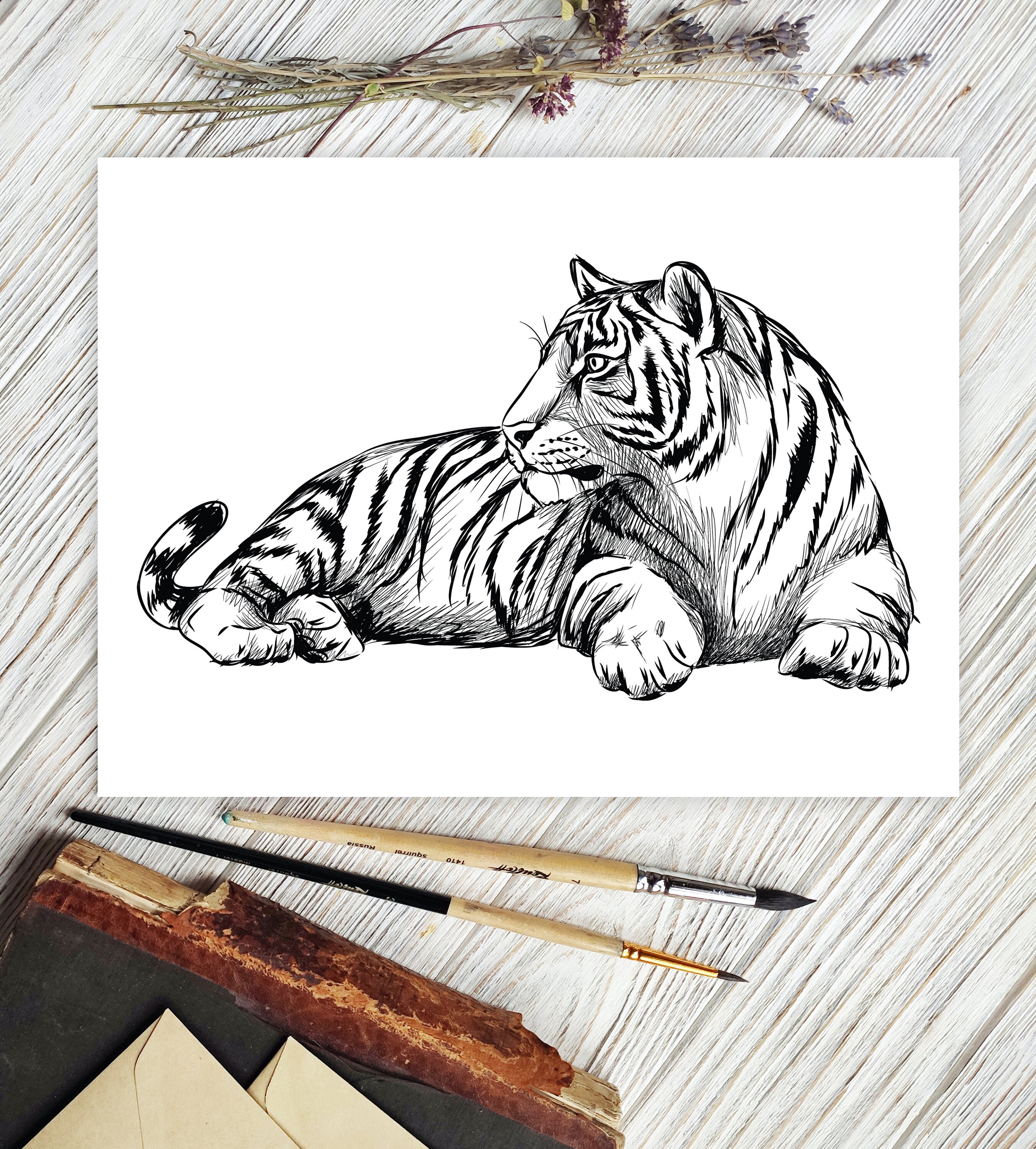 18 Assorted Wild Big Cat Coloring Pages for Kids or Adults Alike ...