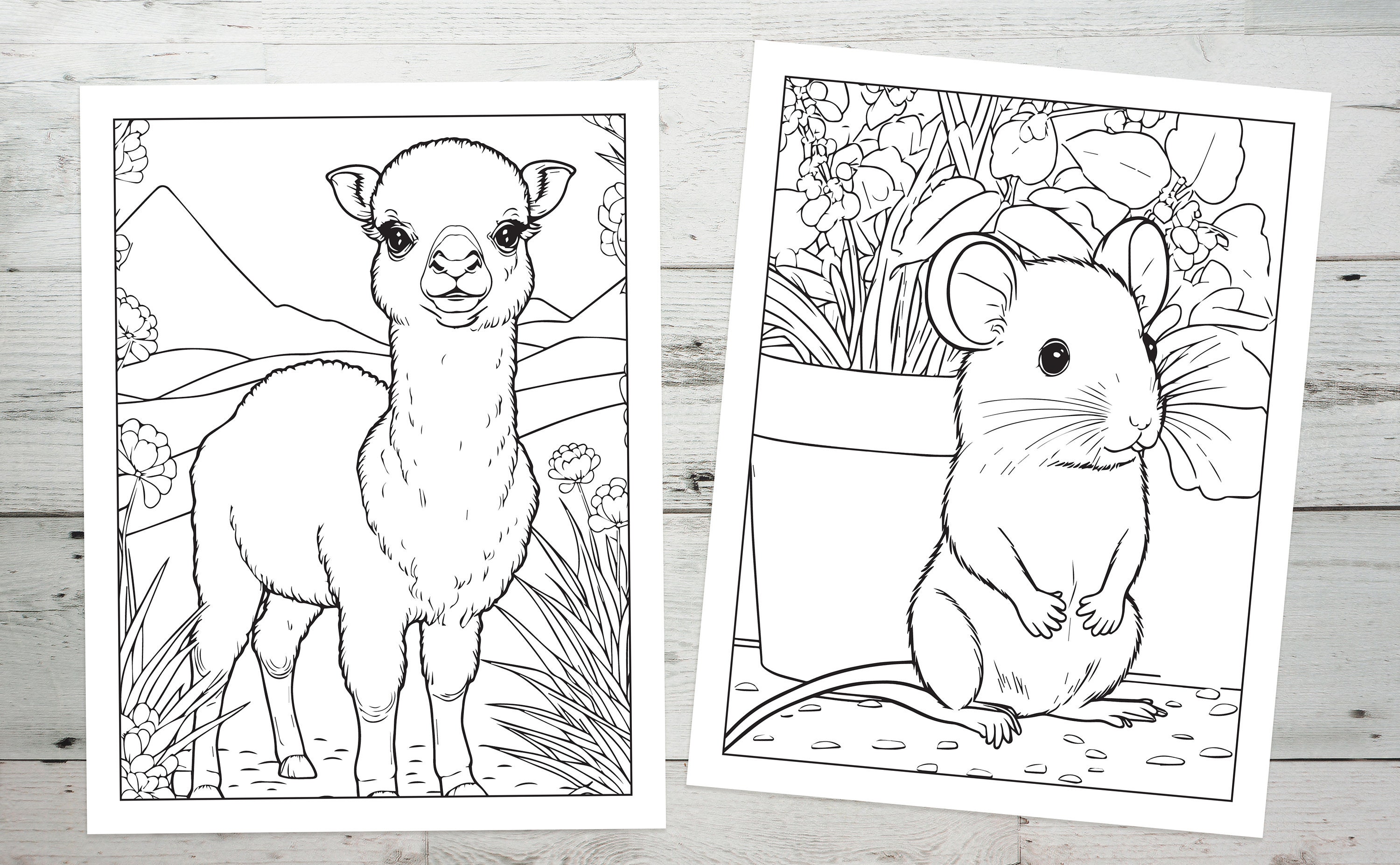 35 Assorted Cute Baby Animal Coloring Pages for Kids & Adults - Etsy