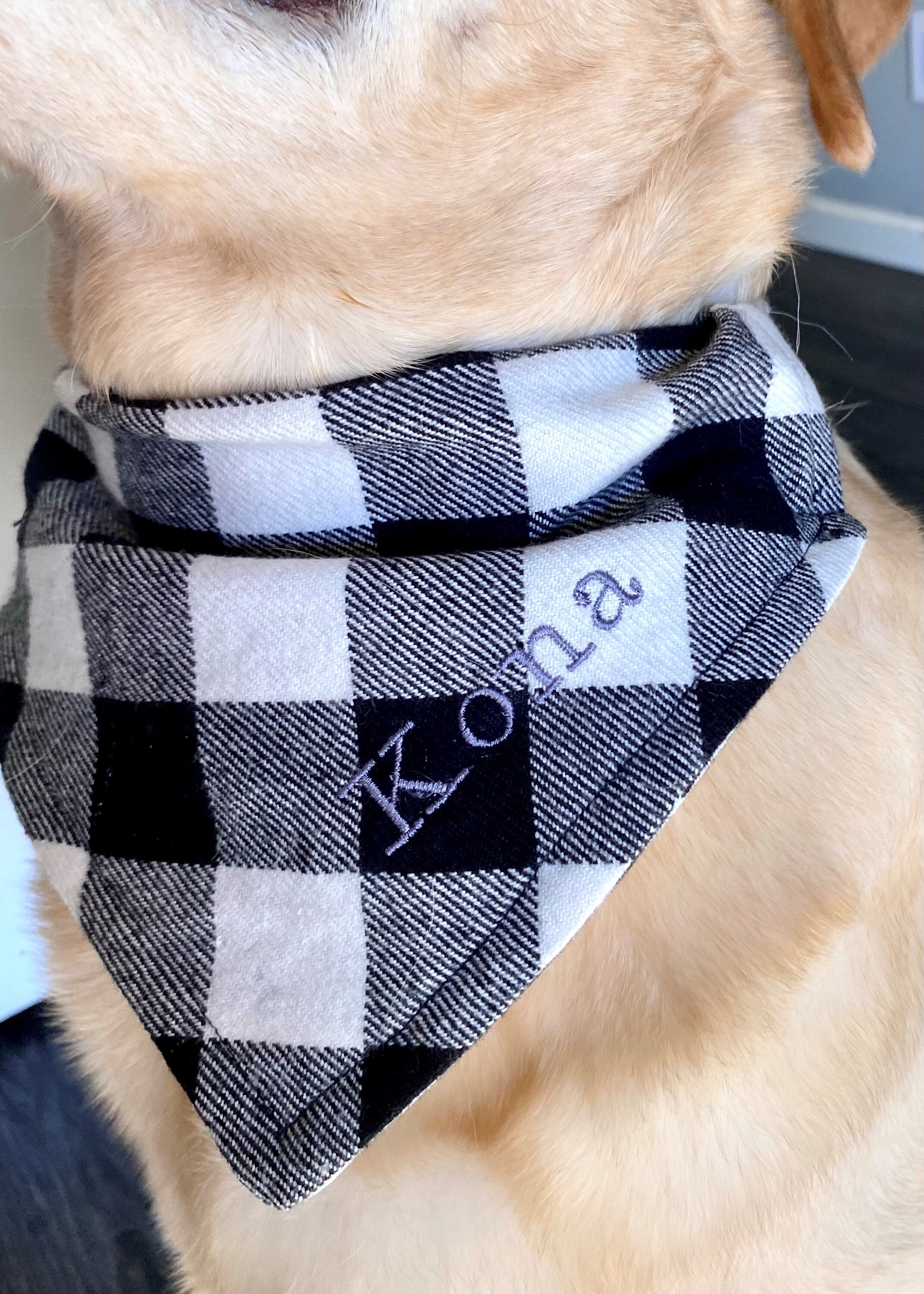 Matching Scarf and Pet Bandana over Collar Style, 100% Cotton Flannel ...