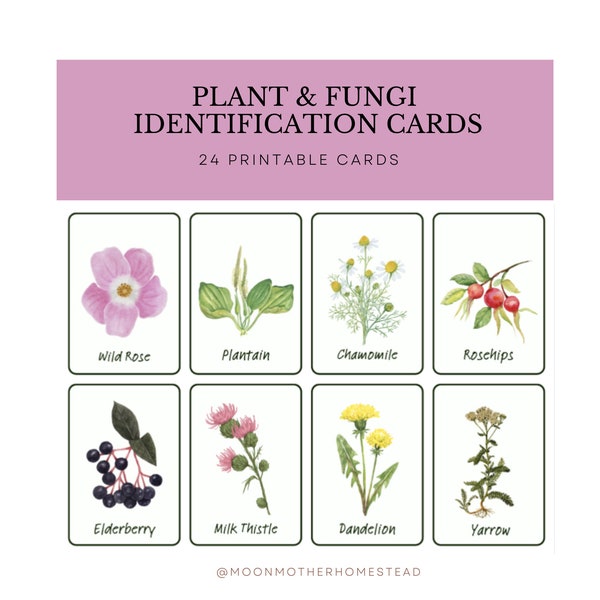 Kids Plant Identification Cards - Etsy