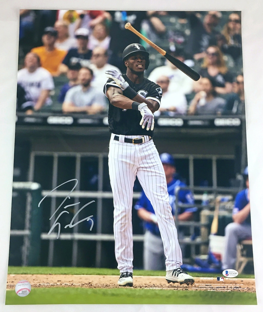 Tim Anderson Chicago Signed Autographed 16x20 Bat Flip Photo With ...