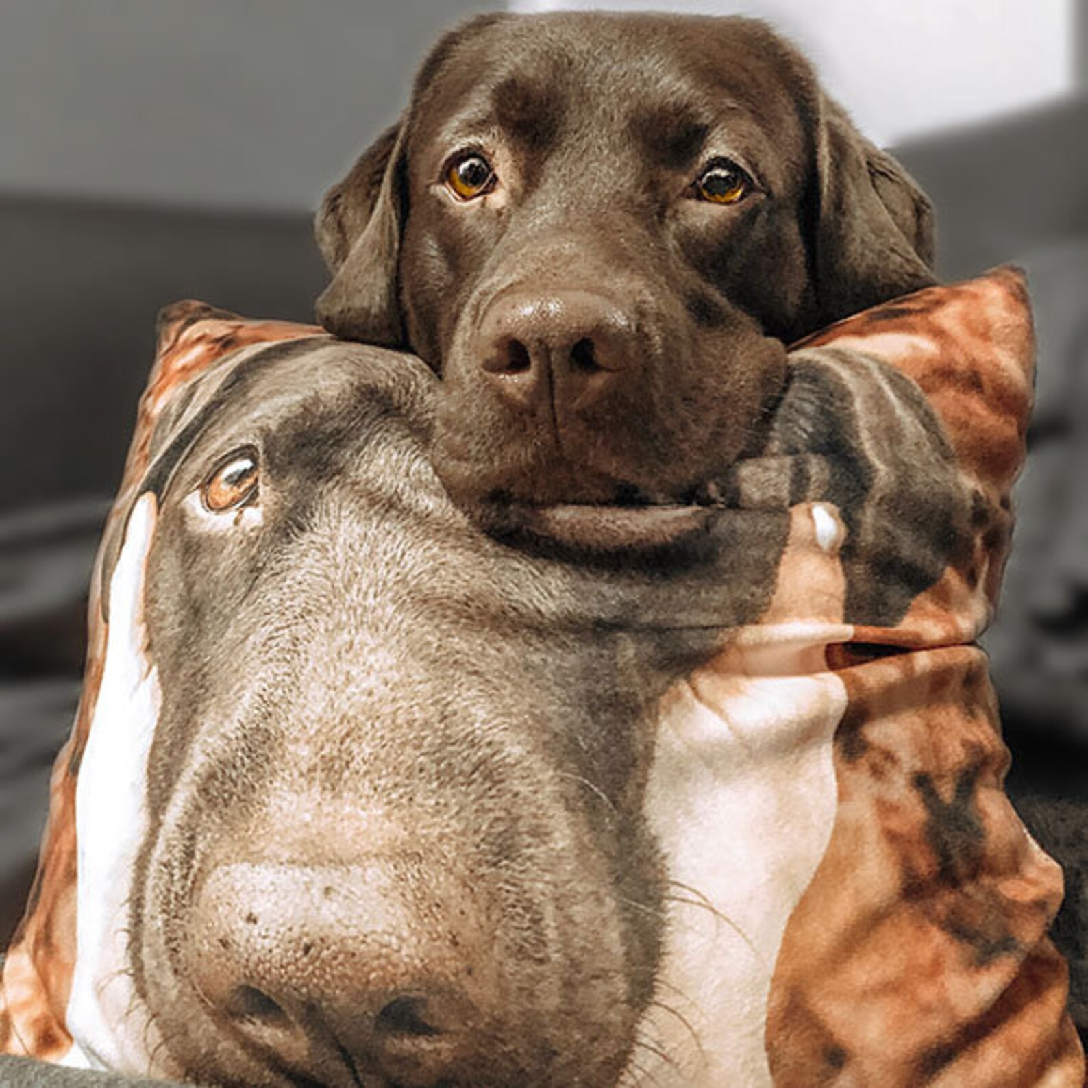 Custom Photo Pillow Unique Gift Custom Pet Pillow Dog on - Etsy