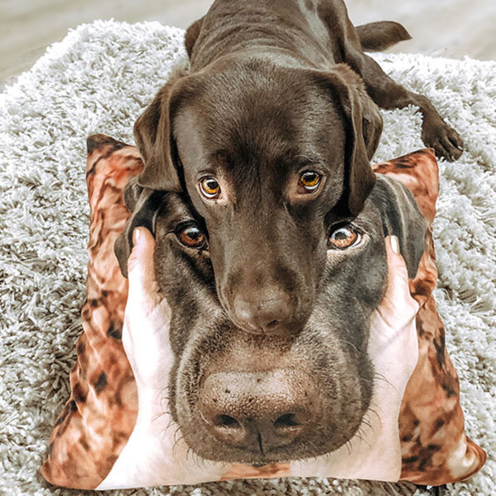 Custom Photo Pillow Unique Gift Custom Pet Pillow Dog on - Etsy