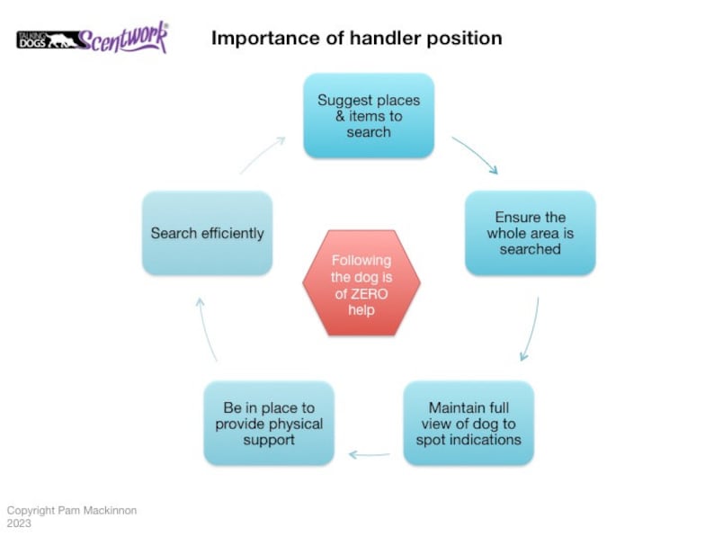 Handler Position Infographic Set - Etsy