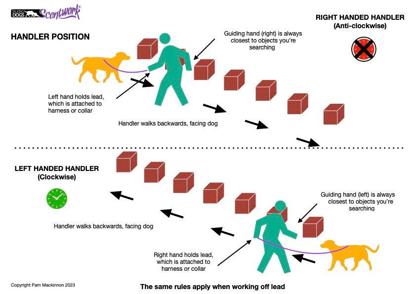 Handler Position Infographic Set - Etsy