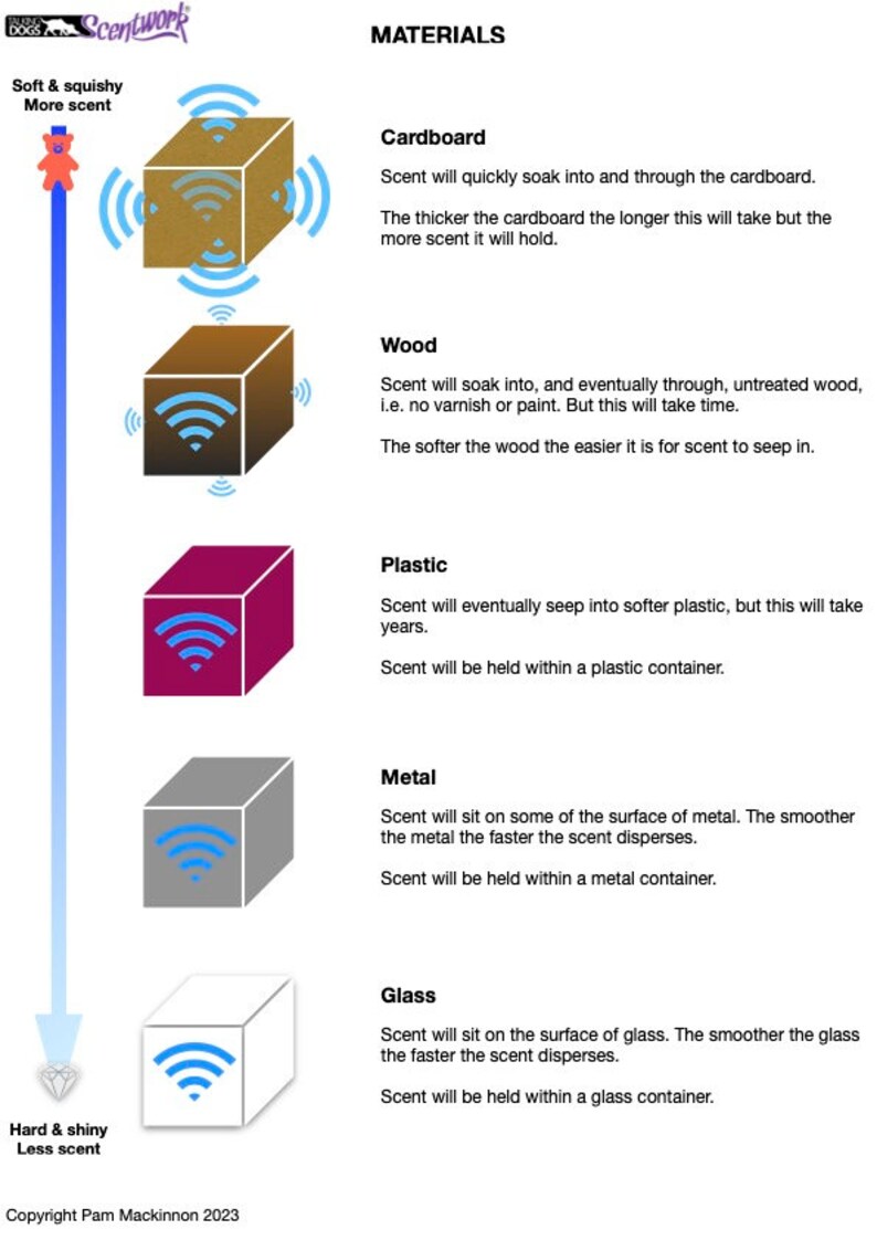 Scent 101 Infographic Set - Etsy