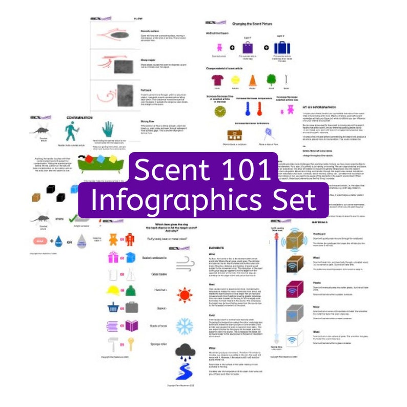 Scent 101 Infographic Set - Etsy