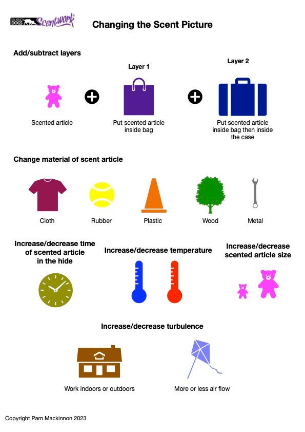 Scent 101 Infographic Set - Etsy