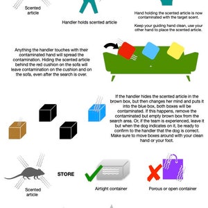 Scent 101 Infographic Set - Etsy