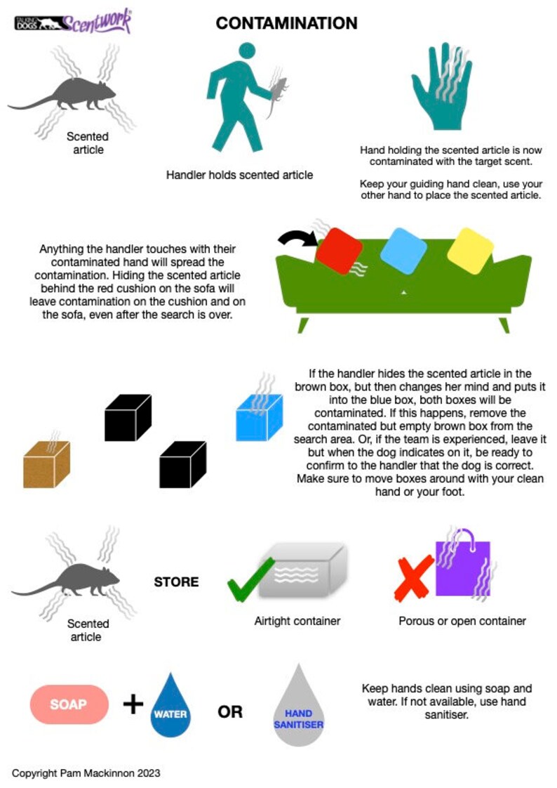 Scent 101 Infographic Set - Etsy