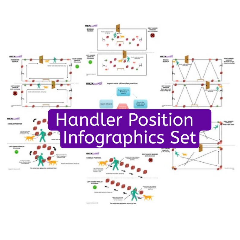 Handler Position Infographic Set - Etsy