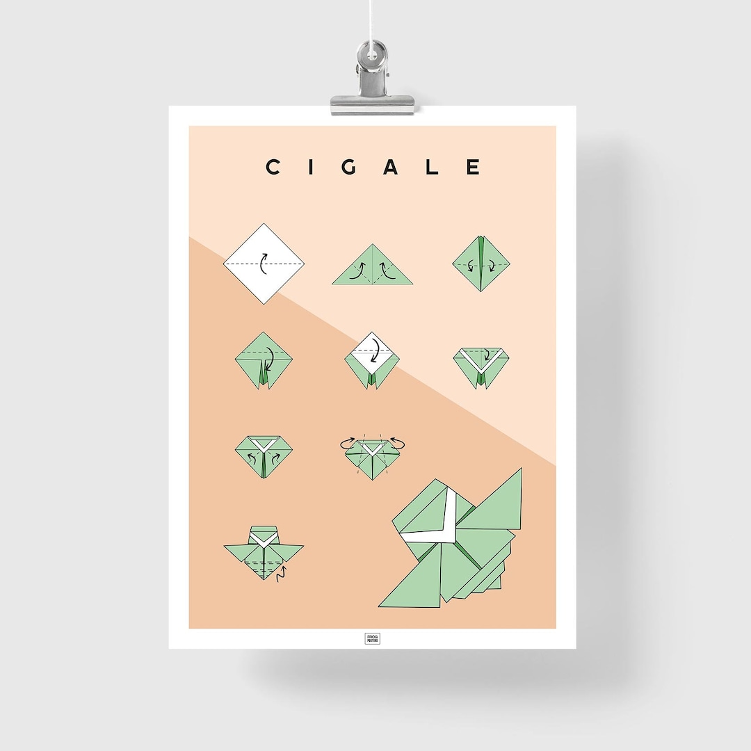 Cicada Origami Poster - Etsy