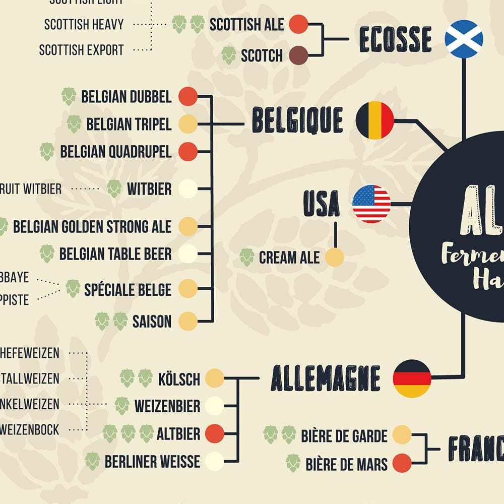 Beer Poster : the 73 Different Types of Beers in the World (FR) - Etsy