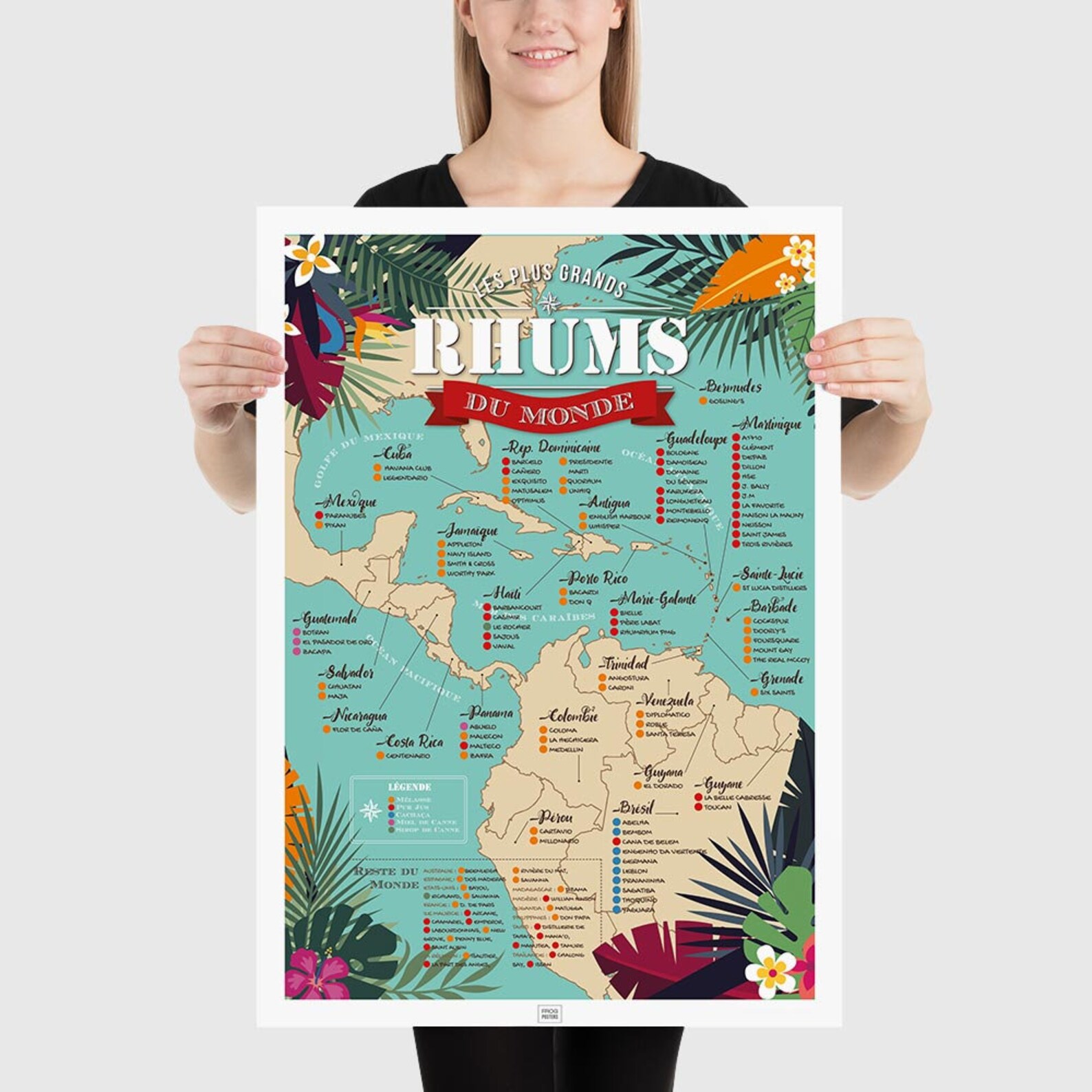Rum Poster : Rum Map of the 100 Best Rums in the World FR - Etsy