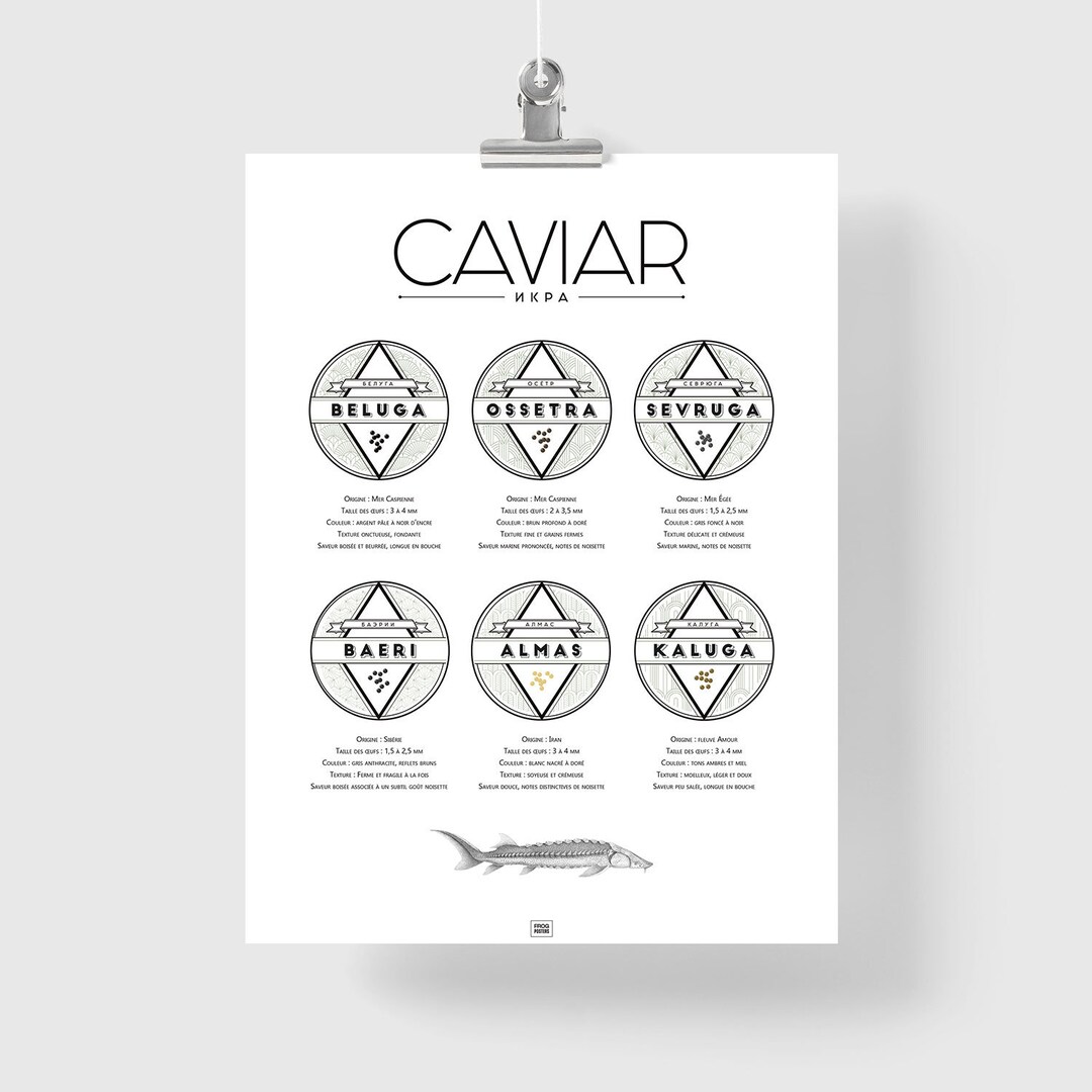 Caviar Guide Poster FR - Etsy Österreich