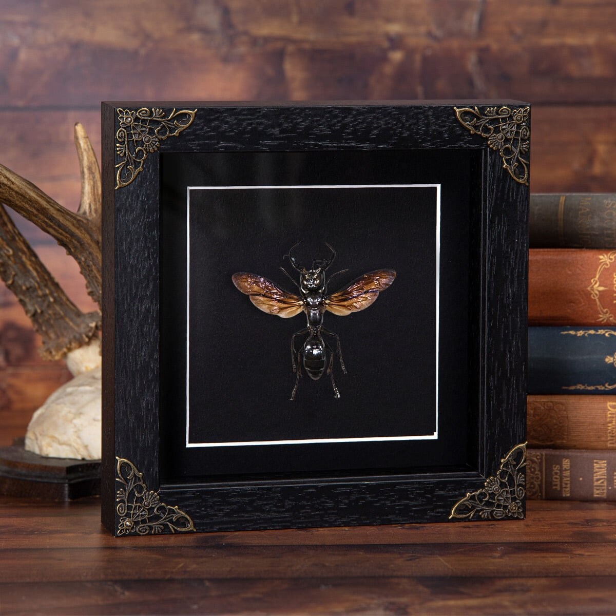 Megalara Garuda Sting