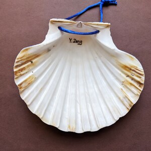 Hand Painted Shell-blue and White-hand Painted Seashell-scallop Shell ...