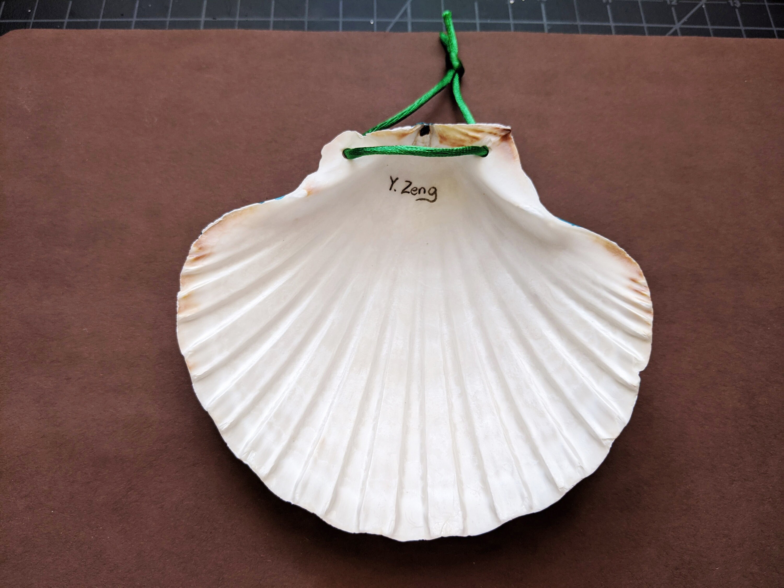 Hand Painted Shell-blue and White-hand Painted Seashell-scallop Shell ...